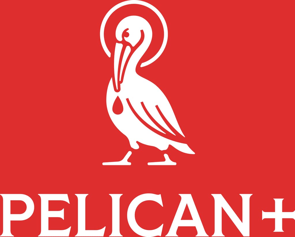 Murray Rundus | Pelican+