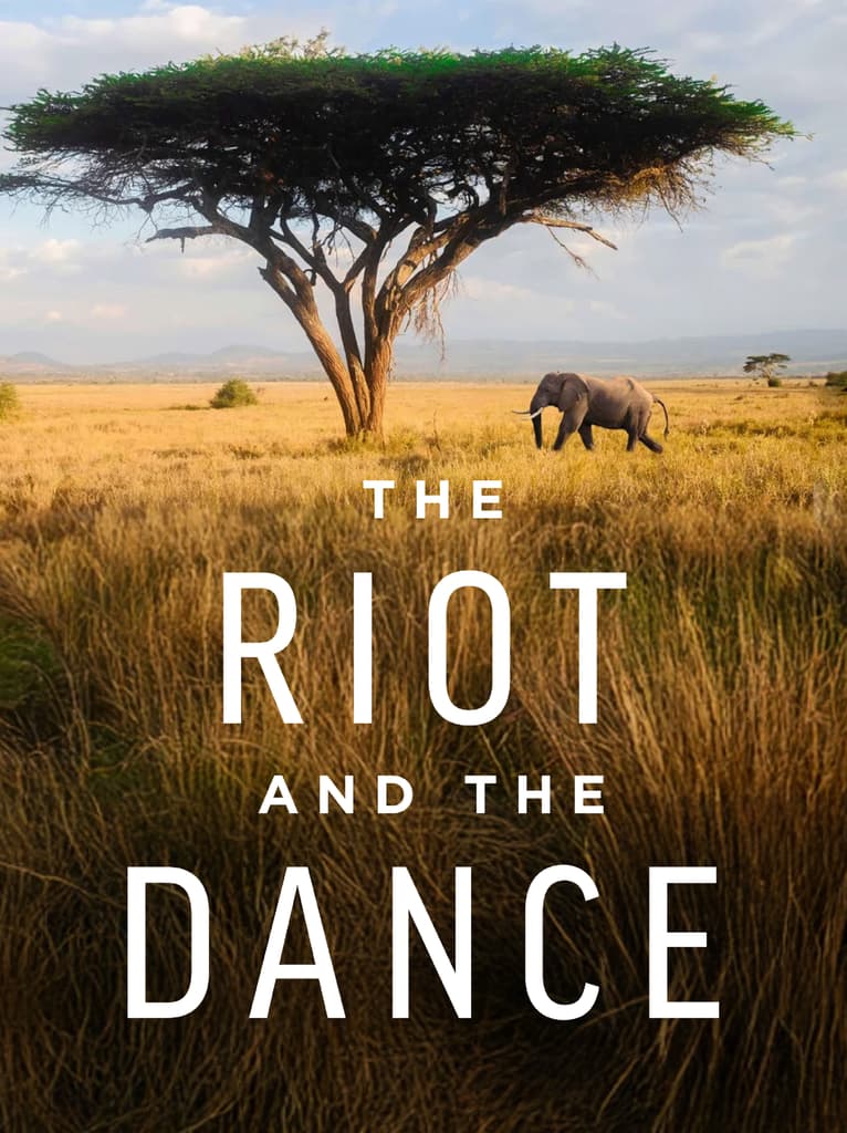 The Riot and the Dance | Canon+
