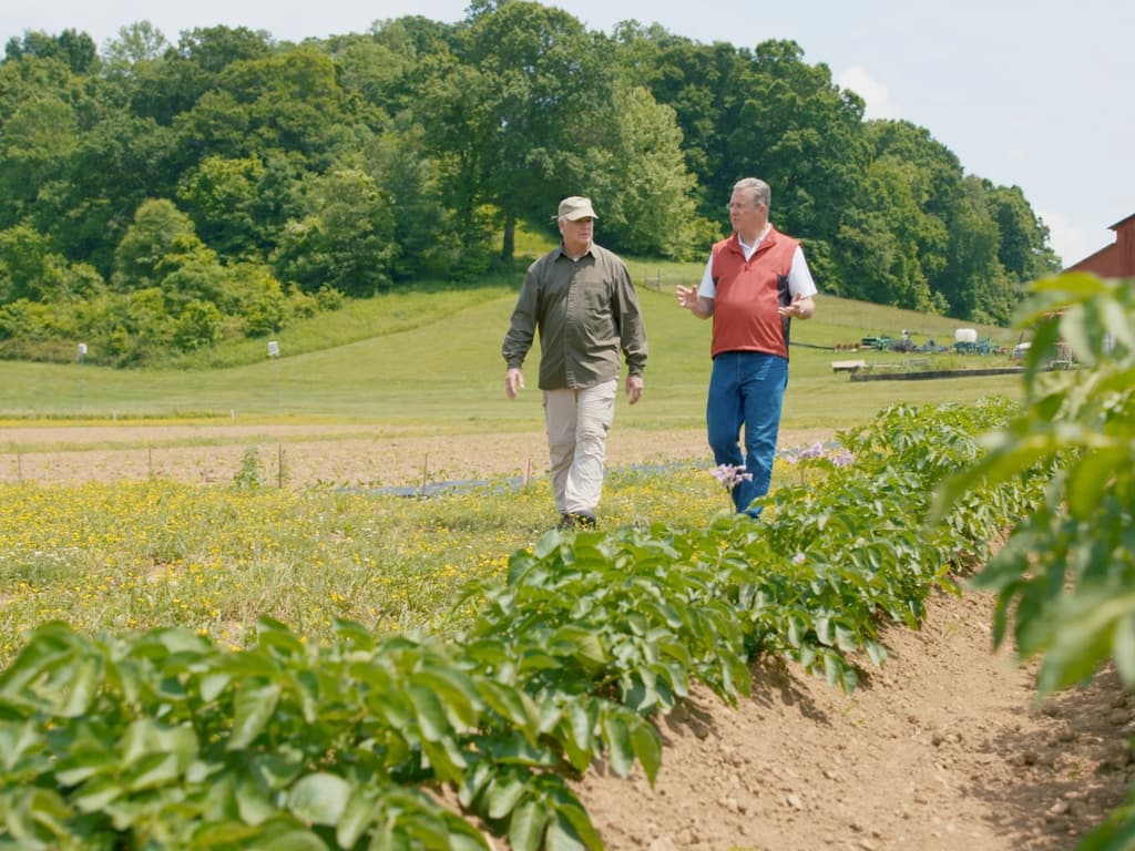 Beyond Is Genesis History: Volume 3 | Episode 3 | The Importance of ...