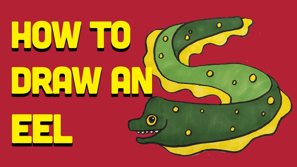 How to draw an Eel |Season 3: Episode 19 | Creature Kids | Canon+