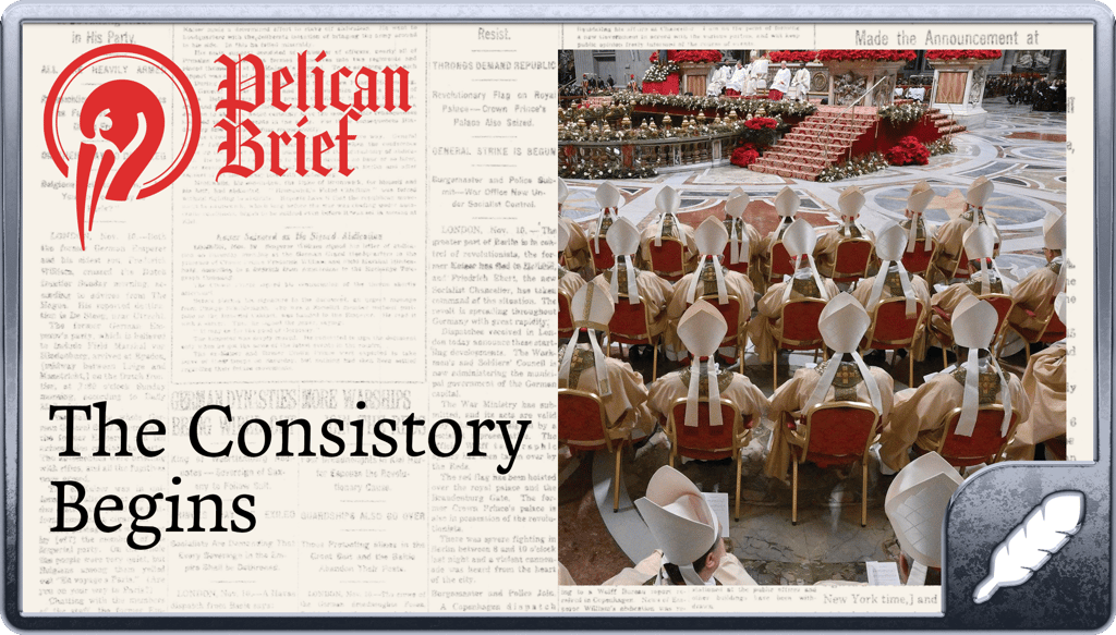 The First Leonine Consistory Begins | Pelican+