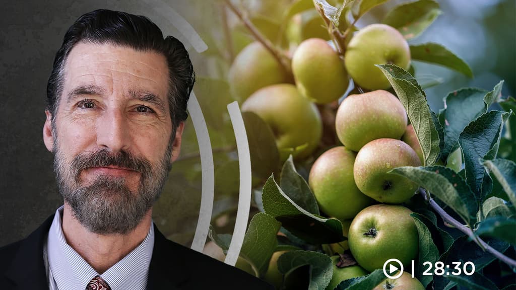 HOW TO EXAMINE YOUR FAITH—ARE YOU PRODUCING GOOD FRUIT? | Fortis+