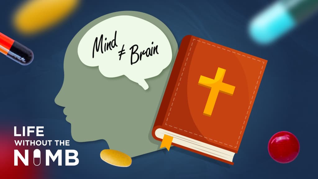 Mind vs. Brain | Fortis+