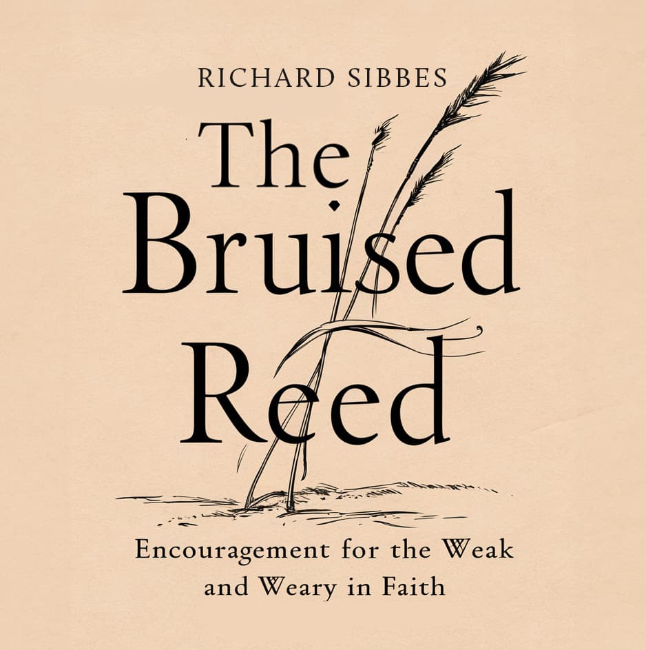 The Bruised Reed | Relearn